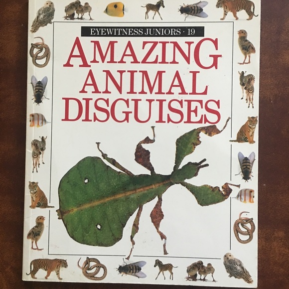 Other | Amazing Animal Disguises Book | Poshmark